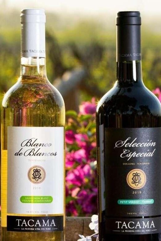 Pisco and Wine Tour at Night in Ica - FAQ