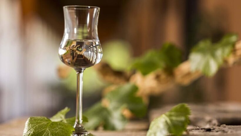 Pisco workshop at the La Caravedo hacienda - The Sum Up: Who Will Love This Experience?