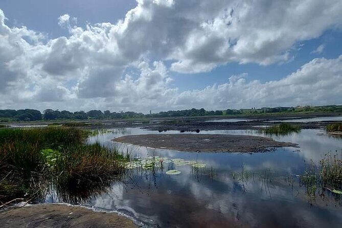 Pitch Lake and the Hanuman Murti, Temple in the Sea. Tour - What Youll Experience on This Trinidad Tour