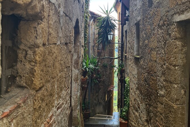 Pitigliano Private Walking Tour - Final Thoughts