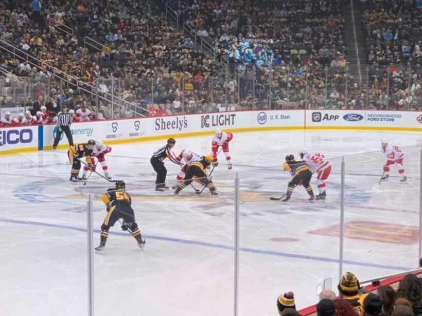 Pittsburgh: Pittsburgh Penguins Ice Hockey Game Ticket - Who Should Consider This Tour?