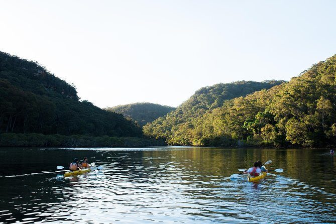 Pittwater Discovery Kayaking Tour - Practical Tips for Participants