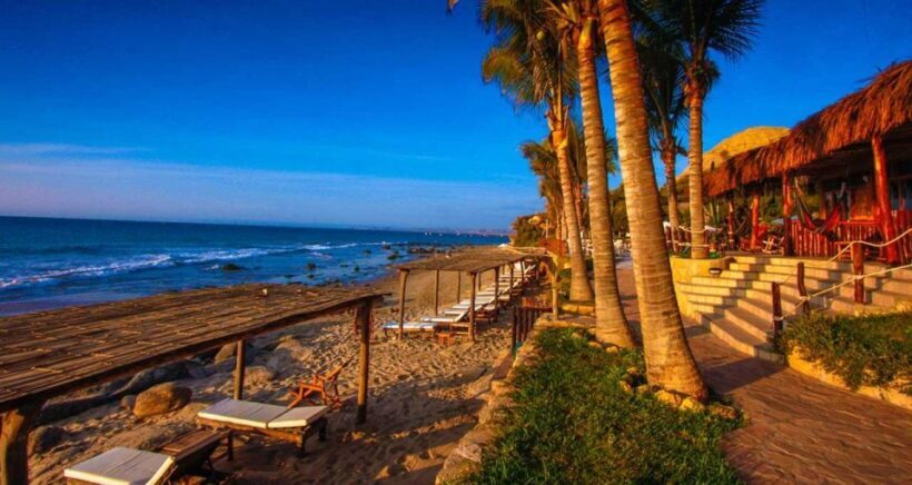 Piura: Adventure in Mancora with Underwater Turtle Encounter - Who Is This Tour Best For?