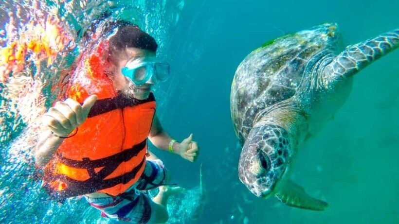 Piura: Adventure in Mancora with Underwater Turtle Encounter - Final Thoughts