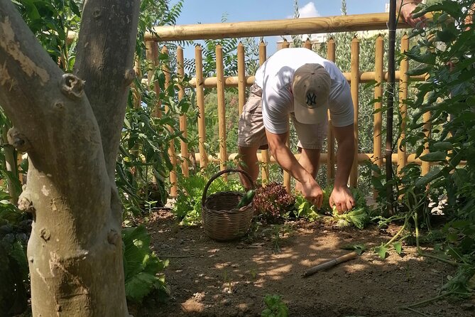 Pizza e Tiramisù class with local mum in Positano - FAQ