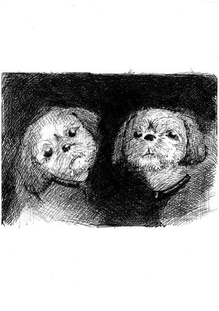 Pizza eat in the dark - Key Points