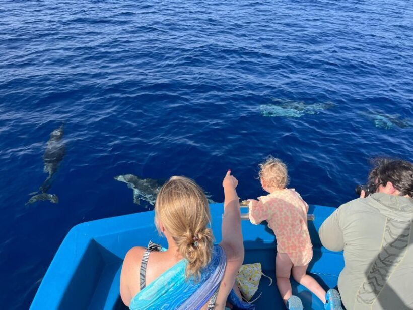 Pizzo: Fishing, Snorkeling, Dolphin Watching - The Coastal Scenic Drive Back