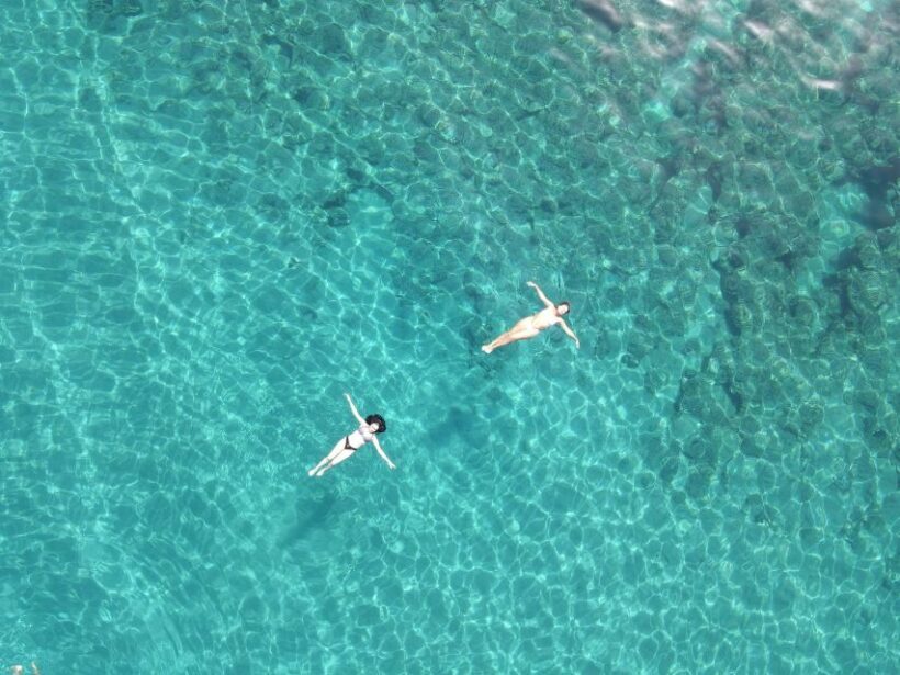 Pizzo: Fishing, Snorkeling, Dolphin Watching - Practical Details and Value