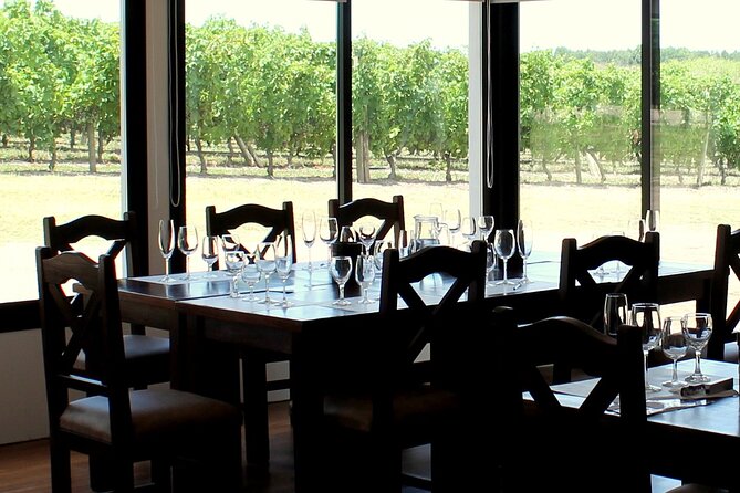 Pizzorno Winery With Lunch and Wine Tasting - Key Points