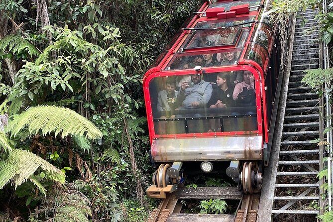 PJ Blue Mountains Supreme Tour (Private Charter) - Pricing and Value