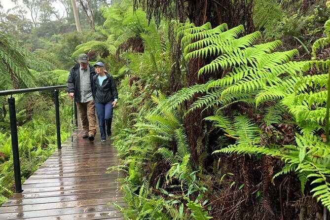 PJ Blue Mountains Supreme Tour (Private Charter) - Who Should Consider This Tour?