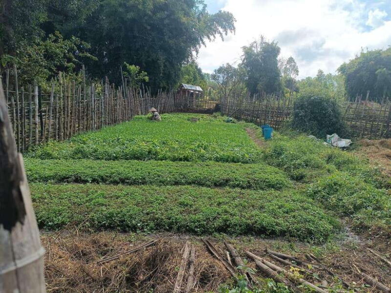 Plain of jars share group tour - Transportation and Logistics
