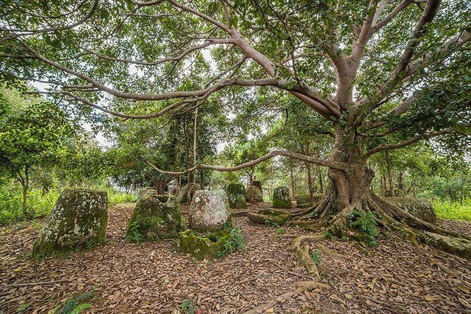 Plain of jars tour with local guide - The Sum Up