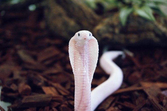 Planet Exotica Entrance Ticket - Reviews and Ratings