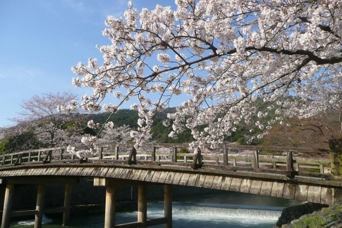 Planning a Day in Arashiyama? to Local Hidden Gems by E-Bike - Key Points