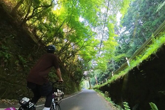 Planning a Day in Arashiyama? to Local Hidden Gems by E-Bike - Discovering the Charm of Togetsukyo Bridge