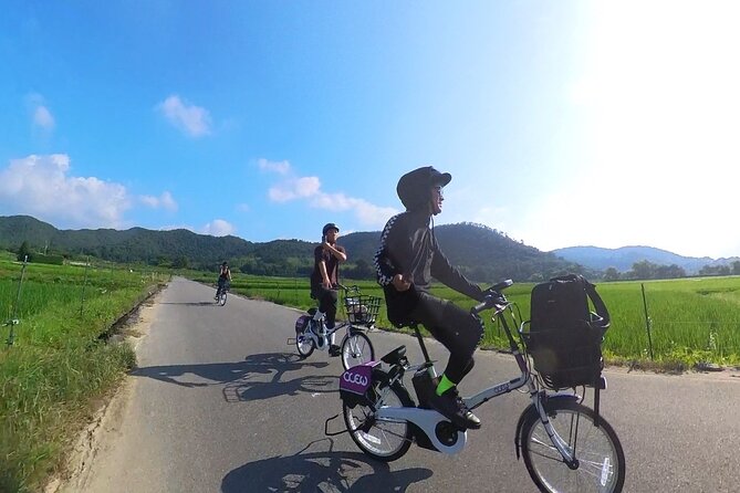 Planning a Day in Arashiyama? to Local Hidden Gems by E-Bike - Experiencing the Serenity of Okochi Sanso Garden