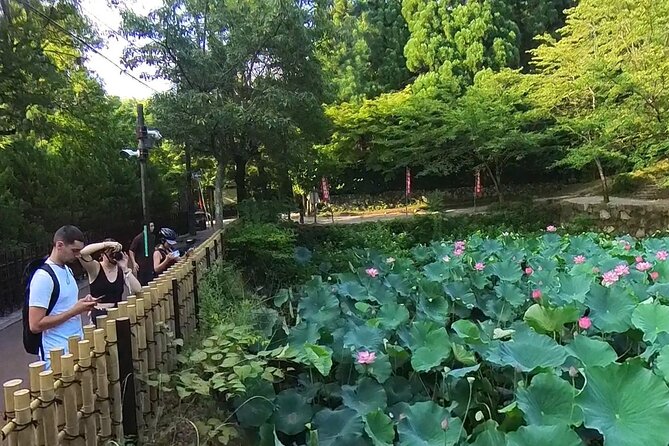 Planning a Day in Arashiyama? to Local Hidden Gems by E-Bike - Taking in the Traditional Shops of Arashiyama