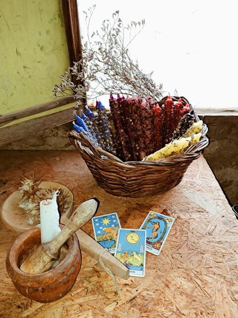 Plants and natural elements for Witchcraft and Tarot - Key Points