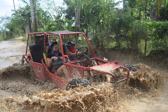 Platinum Buggy Adventure - Key Points