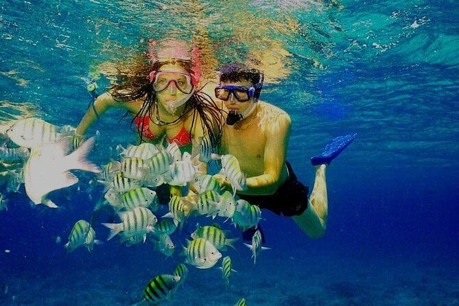 Platinum Power Shore Adventure, Hookah Diving, and Snorkeling - Who Will Love This Experience?