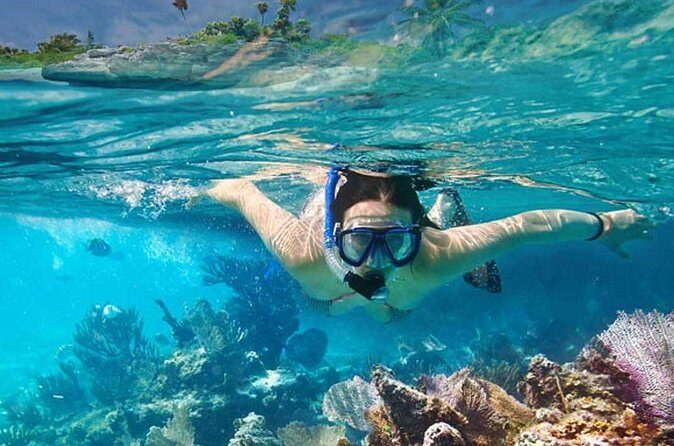 Platinum Power Shore Adventure, Hookah Diving, and Snorkeling - FAQ