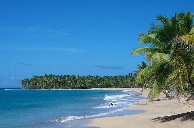 Platinum Round Mountain and Limón Beach Minimum 4 People - Exploring the Itinerary in Detail