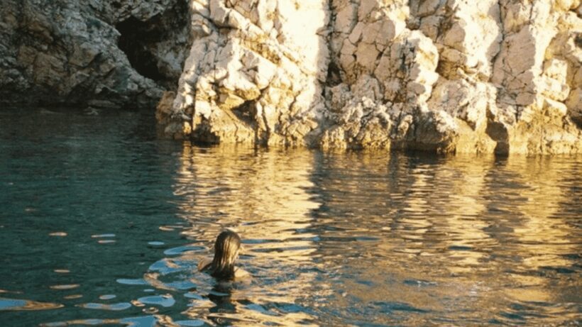 Plavnik Island: A public half day boat tour - What Is This Tour About?