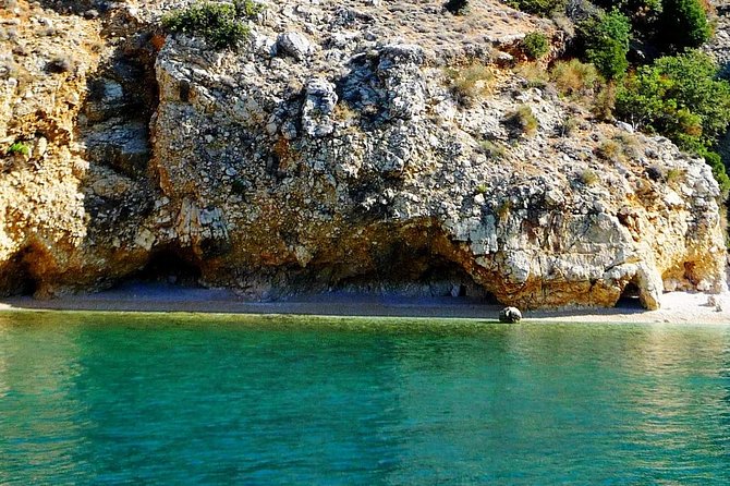 Plavnik Island & Wild Bays Full-Day Boat Trip With Capt. Bobo - Meeting Point and Pickup Details