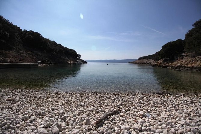 Plavnik Island & Wild Bays Full-Day Boat Trip With Capt. Bobo - Glowing Customer Reviews and Feedback