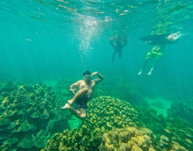 Playa Blanca: Daytour with Snorkeling and Racoon Sighting - Final Thoughts