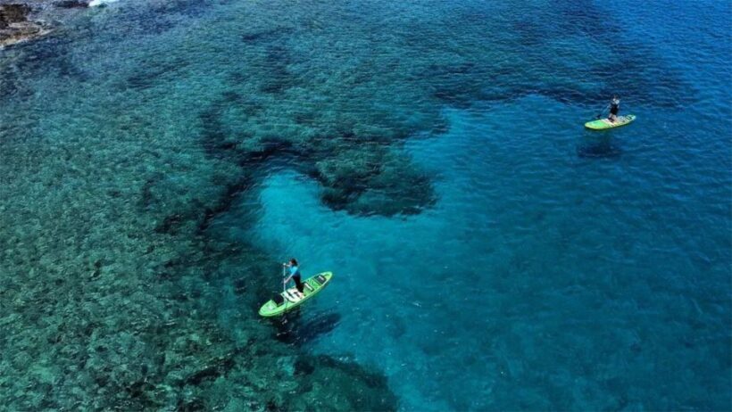 Playa Blanca: Stand up paddle class for beginners - What makes this paddleboard class stand out?