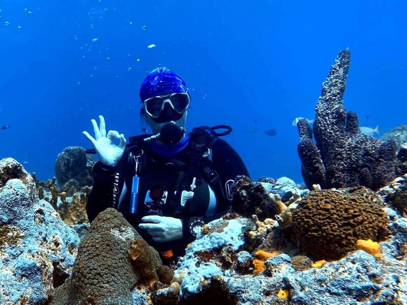 Playa del Carmen: 2-Tank Reef Dive - A Closer Look at the 2-Tank Reef Dive Experience