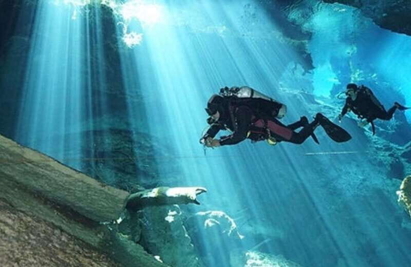 Playa del Carmen: Cenote Diving Experience - Transportation and Logistics