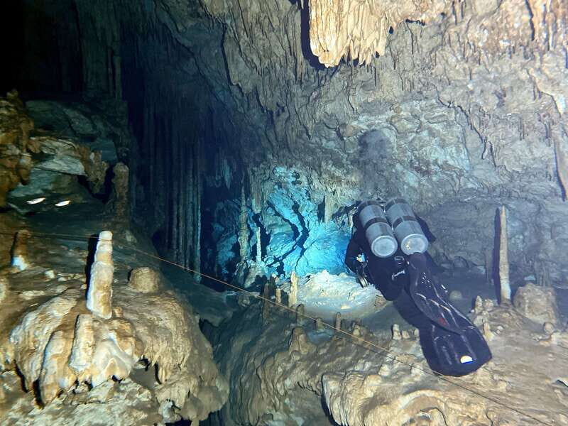Playa del Carmen: Cenote Diving Experience - The Value of the Experience