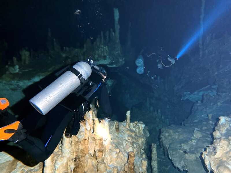 Playa del Carmen: Cenote Diving Experience - What Travelers Are Saying