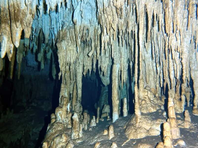 Playa del Carmen: Cenote Diving Experience - The Sum Up