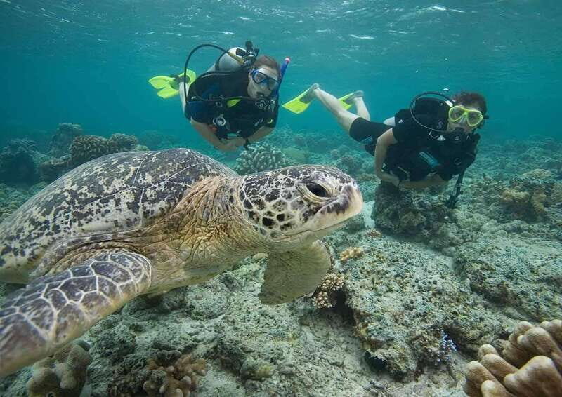 Playa del Carmen: Discover the Surreal World of Scuba Diving - Key Points