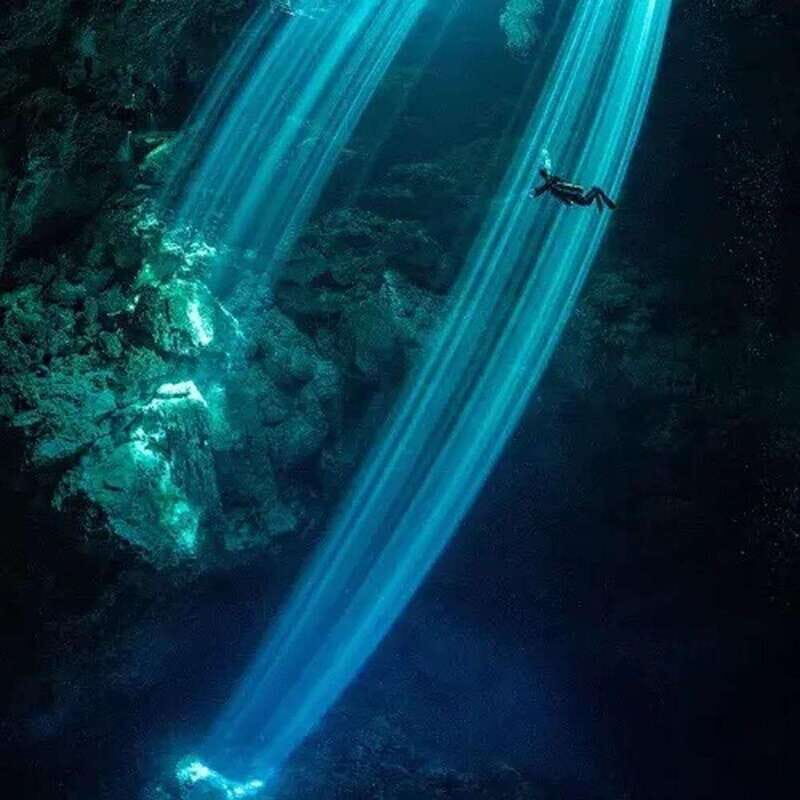 Playa del Carmen: Diving at Cenote Dos Ojos - Key Points