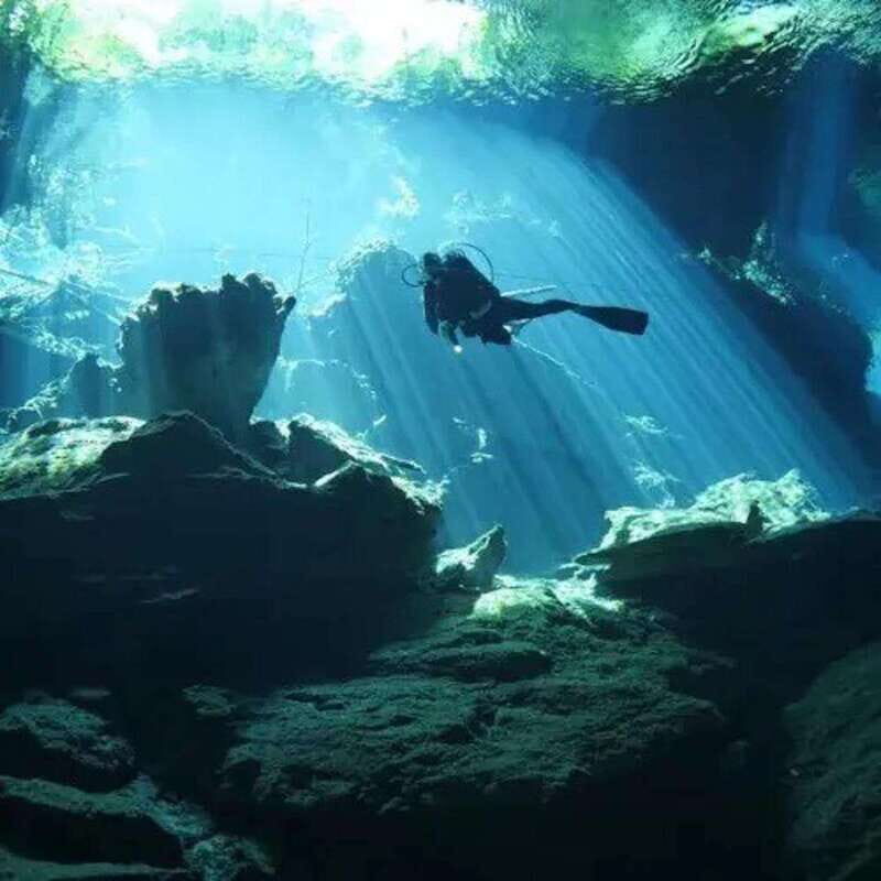 Playa del Carmen: Diving at Cenote Dos Ojos - An In-Depth Look at Diving at Cenote Dos Ojos