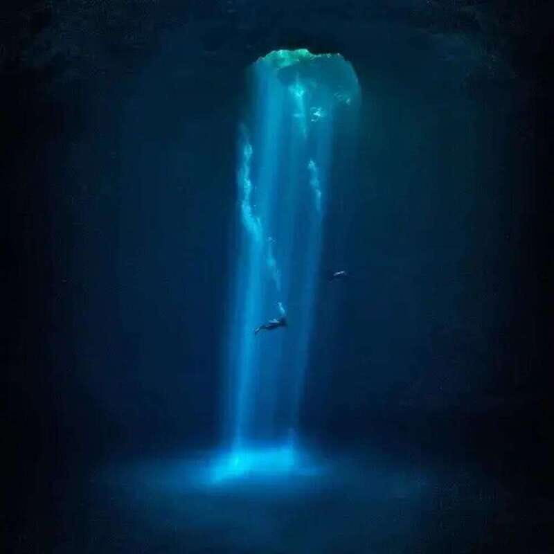Playa del Carmen: Diving in Cenotes The Pit and Dos Ojos - An In-Depth Look at the Tour Experience