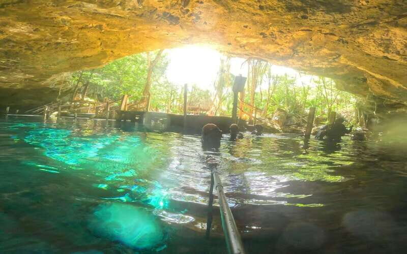 Playa del Carmen: Dos Ojos Cenote 2 scuba dives without tran - An Authentic Underwater Journey in the Largest Cenote of the Area
