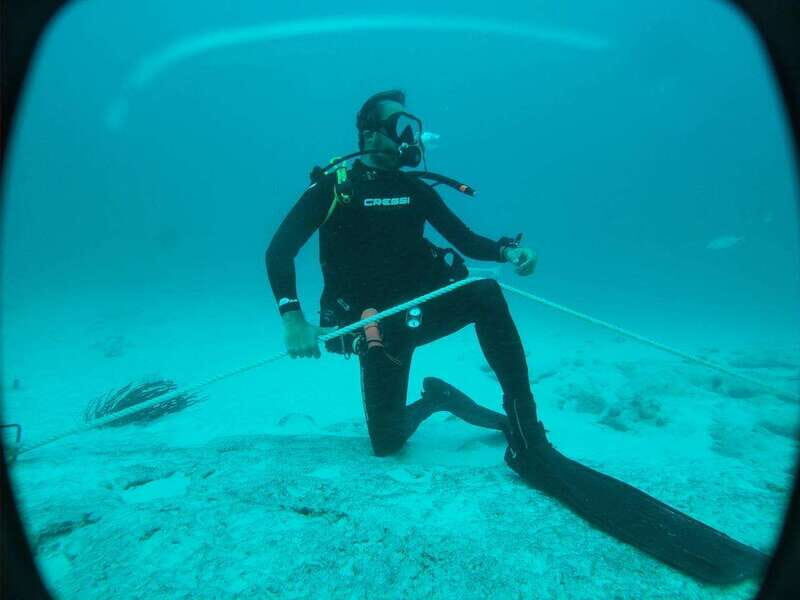 Playa del Carmen: Dual Realm Diving (Cenote + Reef Diving) - Who Should Consider This Tour?