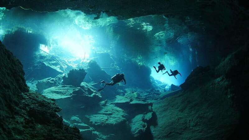 Playa del Carmen: Explore the Surreal World of Cenote Diving - What to Expect from Your Cenote Diving Adventure