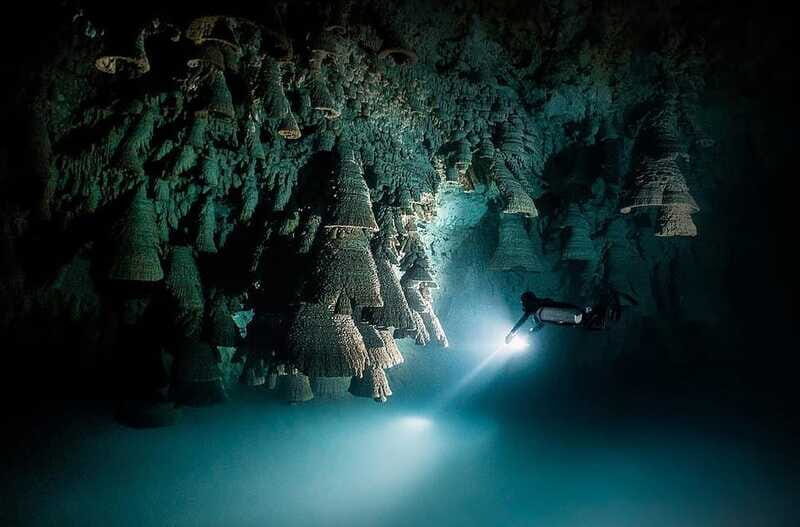 Playa del Carmen: Explore the Surreal World of Cenote Diving - The Sum Up