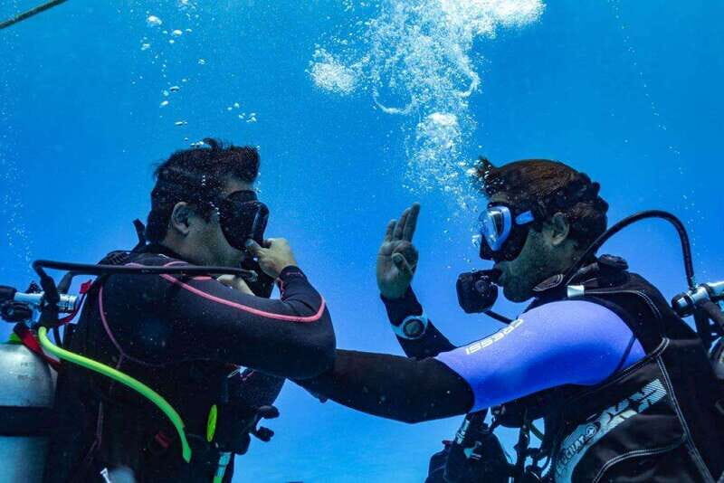 Playa del Carmen: Fun Dive Experience for Certified Divers - Key Points