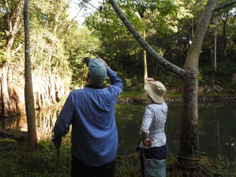 Playa del Carmen: Guided Birdwatching Hike - The Itinerary in Detail
