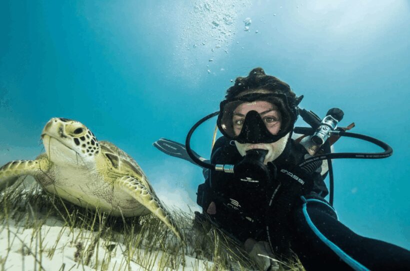 Playa del Carmen: Guided Reef Diving for Certified Divers - Who Will Love This Experience?