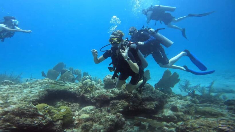 Playa del Carmen: Introductory Scuba Diving at Coral Reefs - Starting Point and Transportation