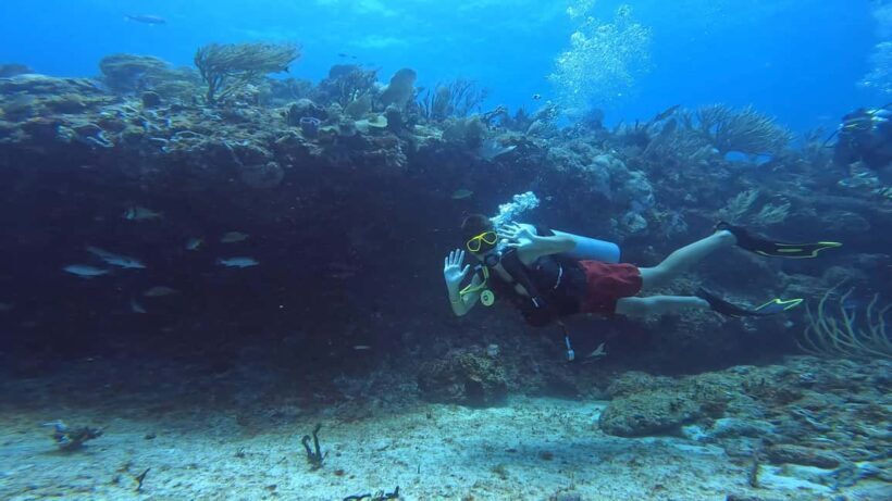 Playa del Carmen: Introductory Scuba Diving at Coral Reefs - What Makes This Experience Special